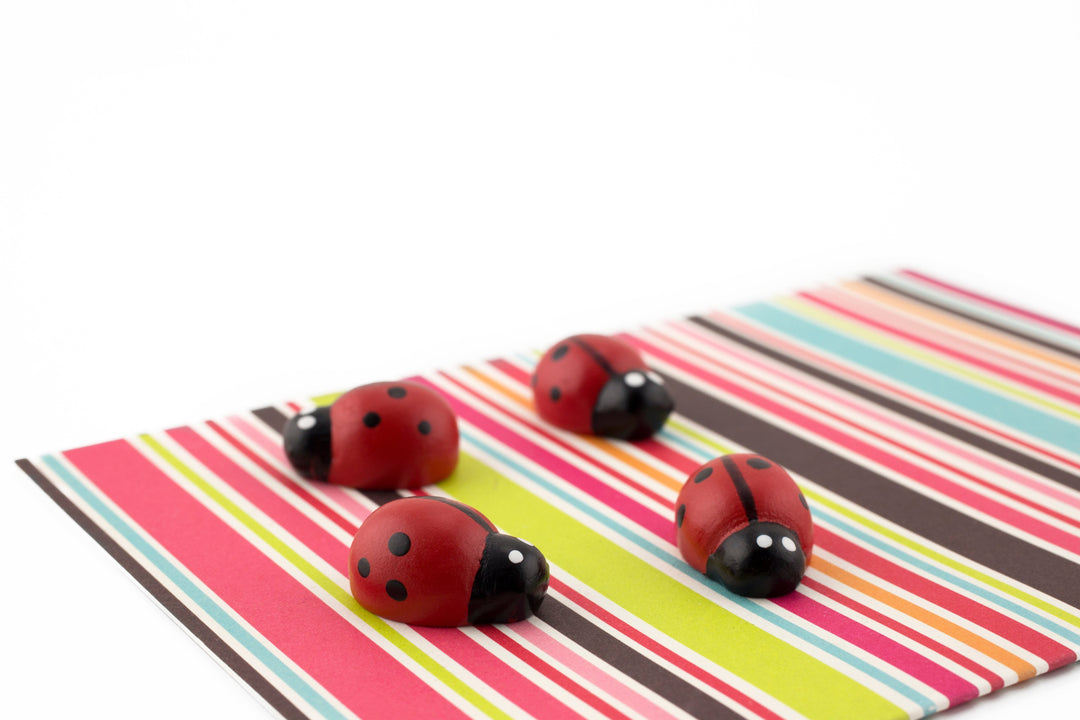 colorful ladybug magnets – three by three seattle