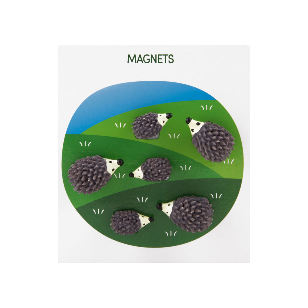 colorful hedgehog magnets – three by three seattle